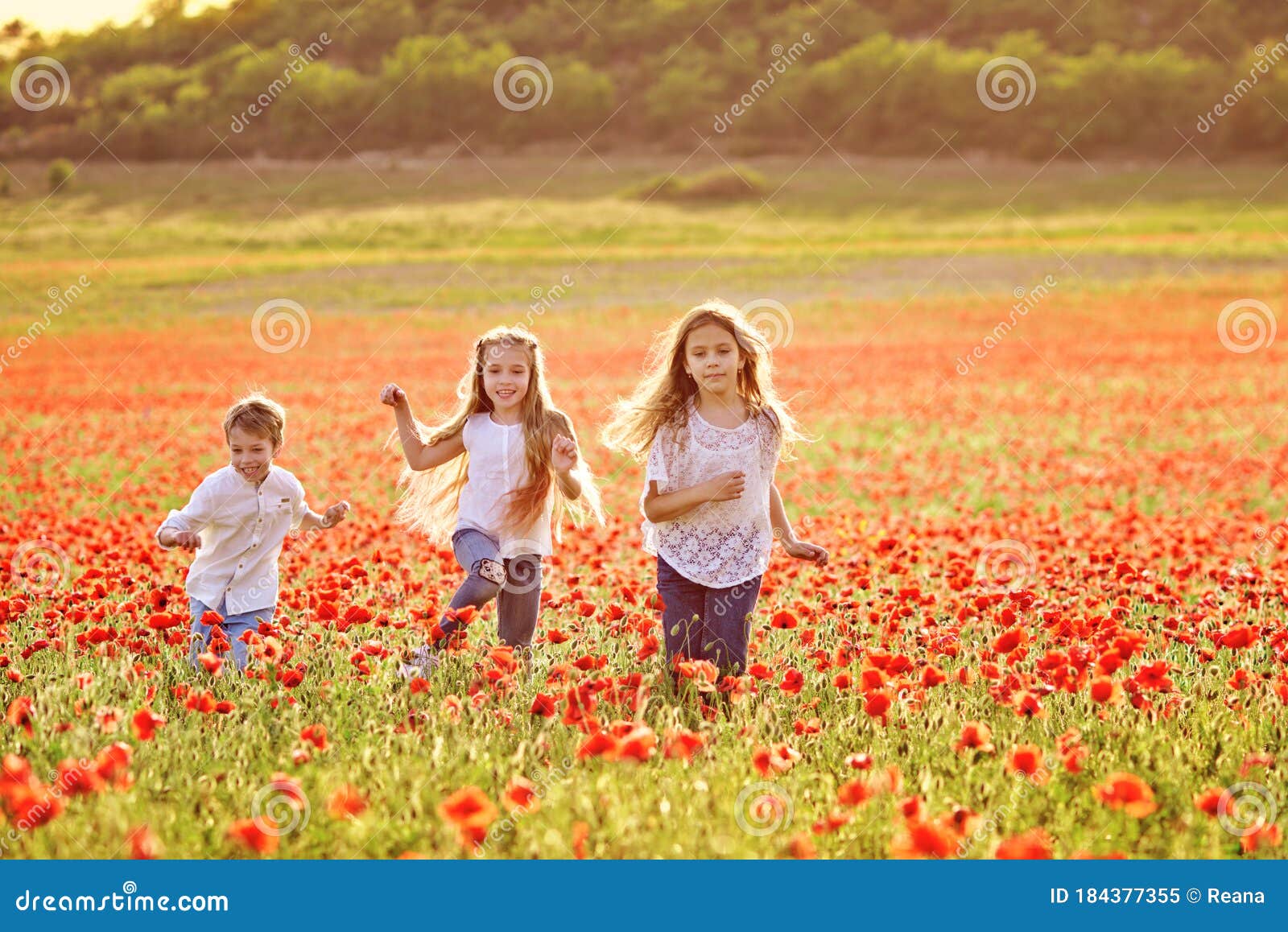 Glada barn fotografering för bildbyråer. Bild av gräs - 184377355