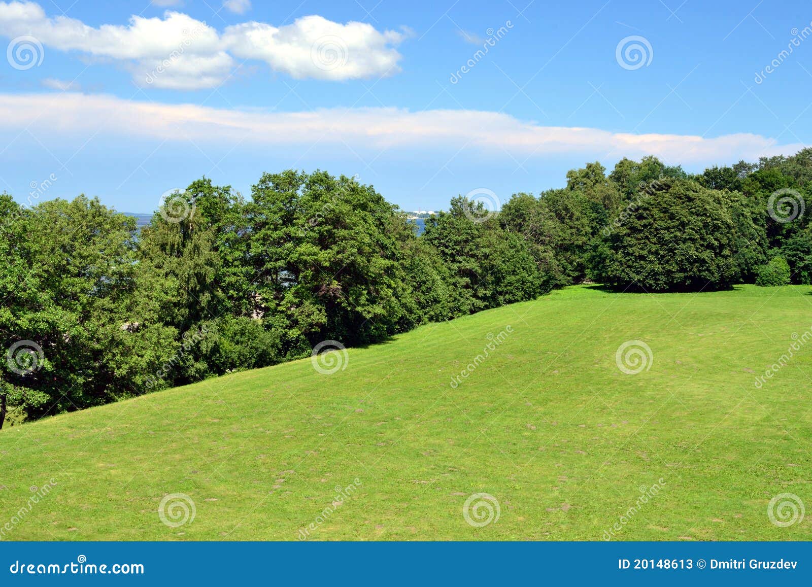 Glade stock image. Image of forest, plant, glade, lush - 20148613