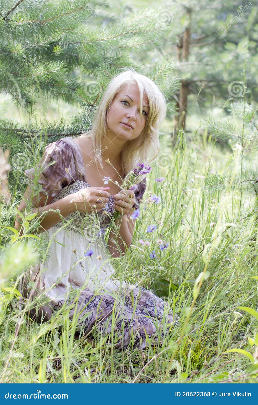 On a glade stock photo. Image of flowers, glade, wood - 20622368