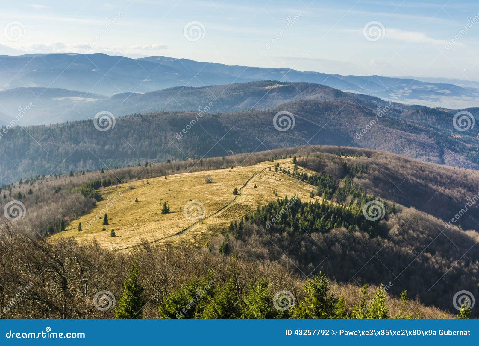 Glade Mountain stock photo. Image of gorce, road, forest - 48257792