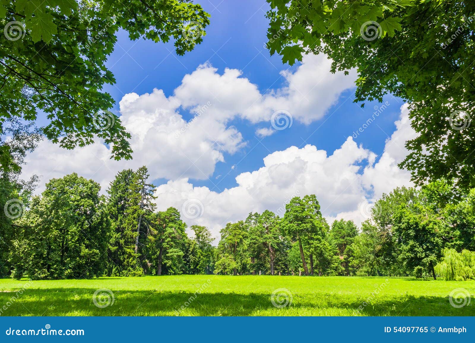 Glade in the park stock image. Image of park, flora, clouds - 54097765