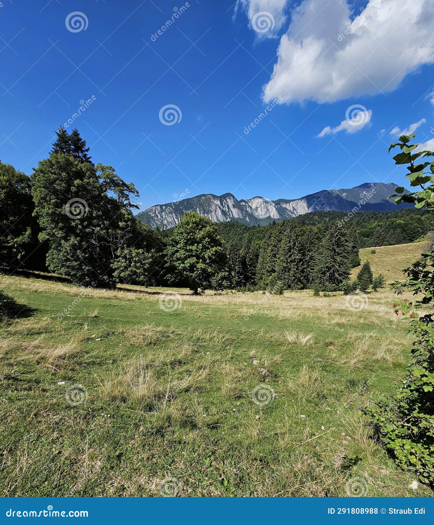 Glade Poiana Secuilor Surroundings Stock Photo - Image of nature ...