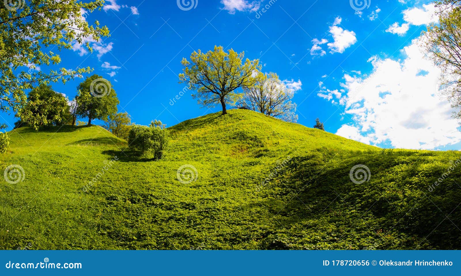 Glade with a Tree and Clouds, Background Stock Photo - Image of ...