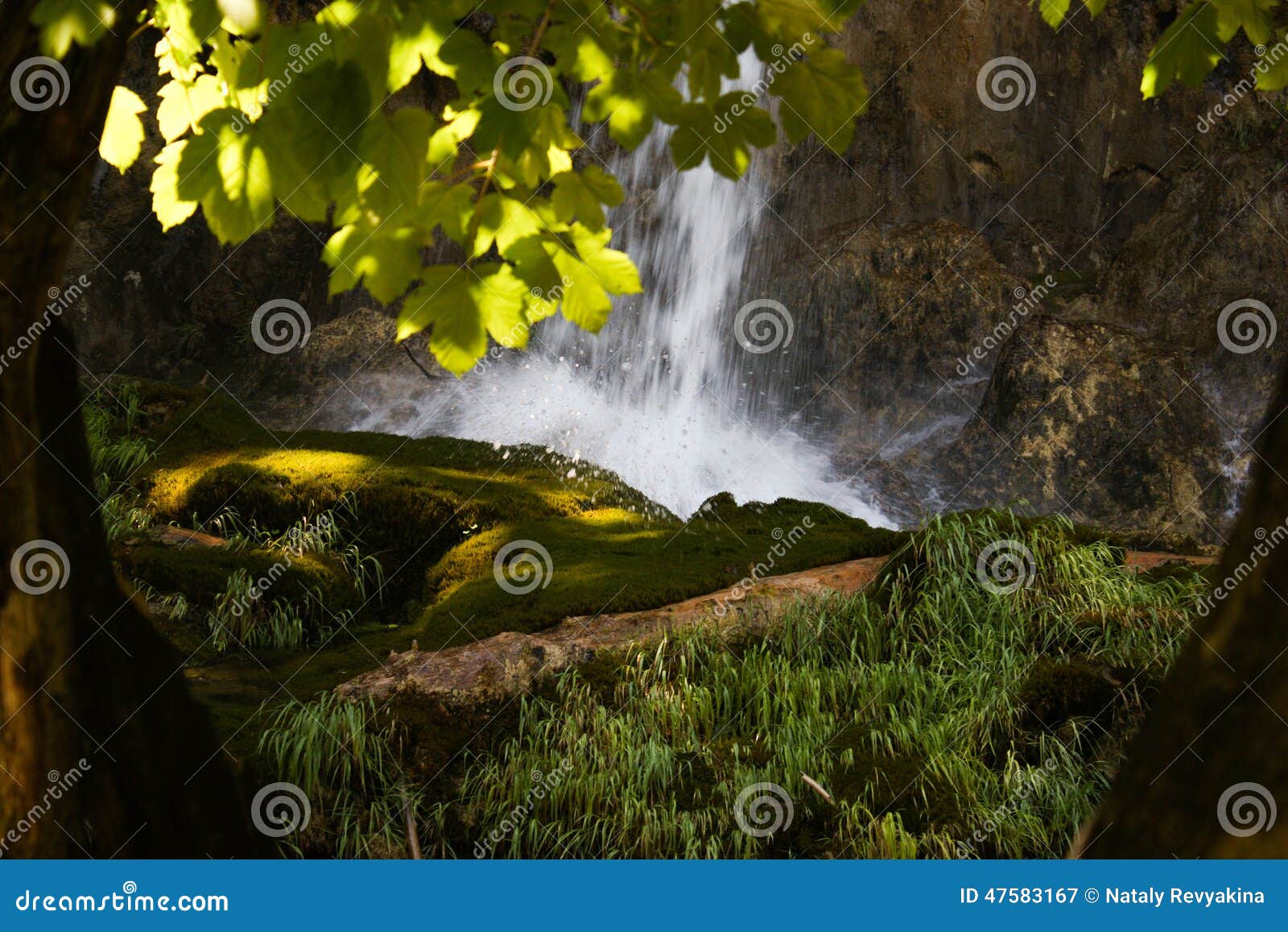 Glade stock image. Image of stream, lush, nature, plant - 47583167