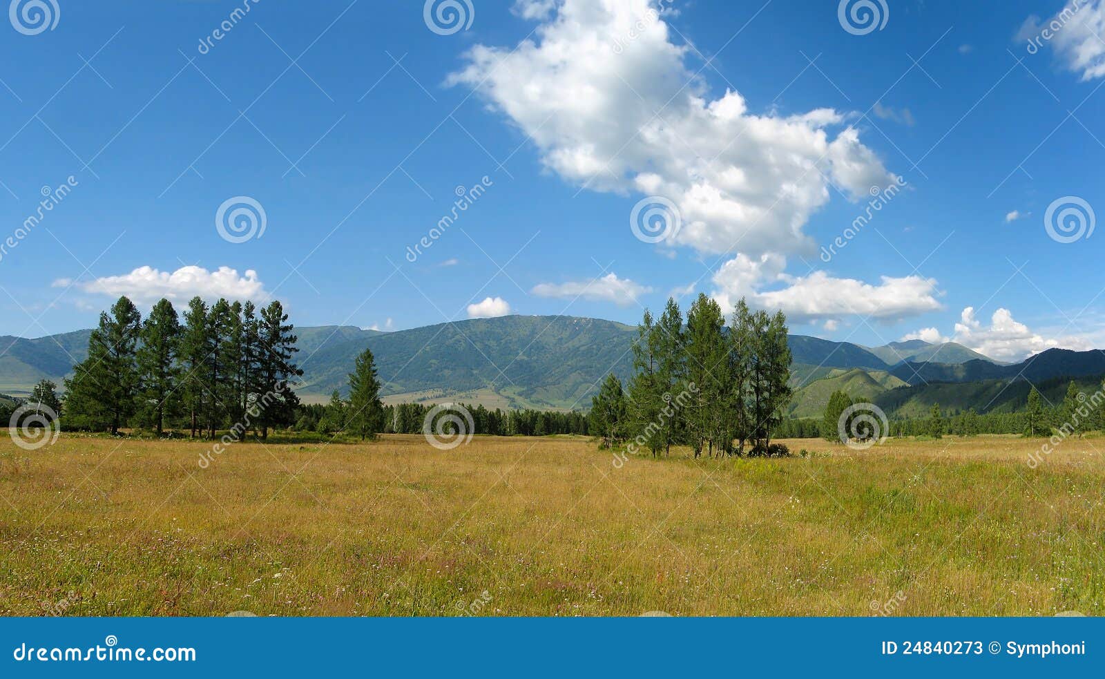 Glade Valley in Uimon. Gorny Altai Stock Image - Image of clouds, woods ...