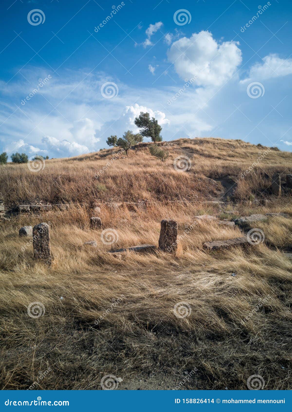 Gladiator romain sky stock photo. Image of gladiator - 158826414