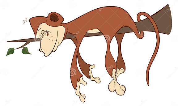 Gladlynt apa cartoon vektor illustrationer. Illustration av primat ...