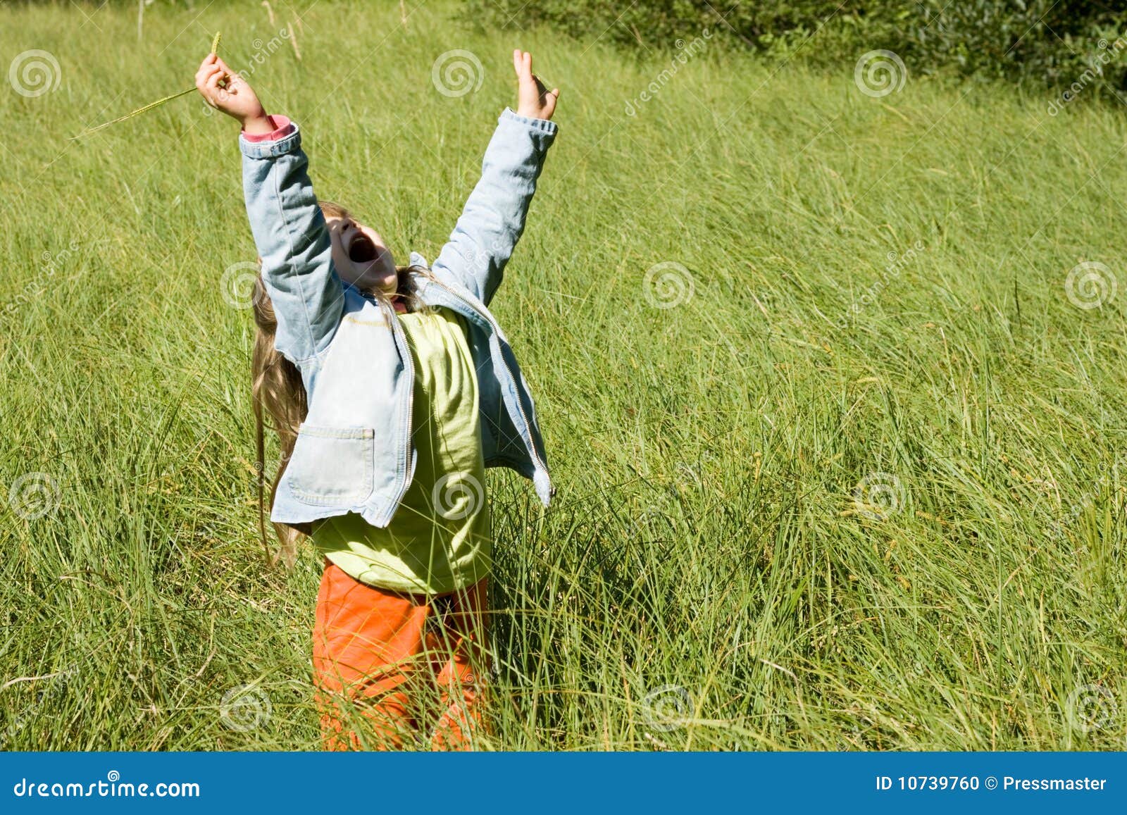 Gladness stock photo. Image of innocent, healthy, grass - 10739760