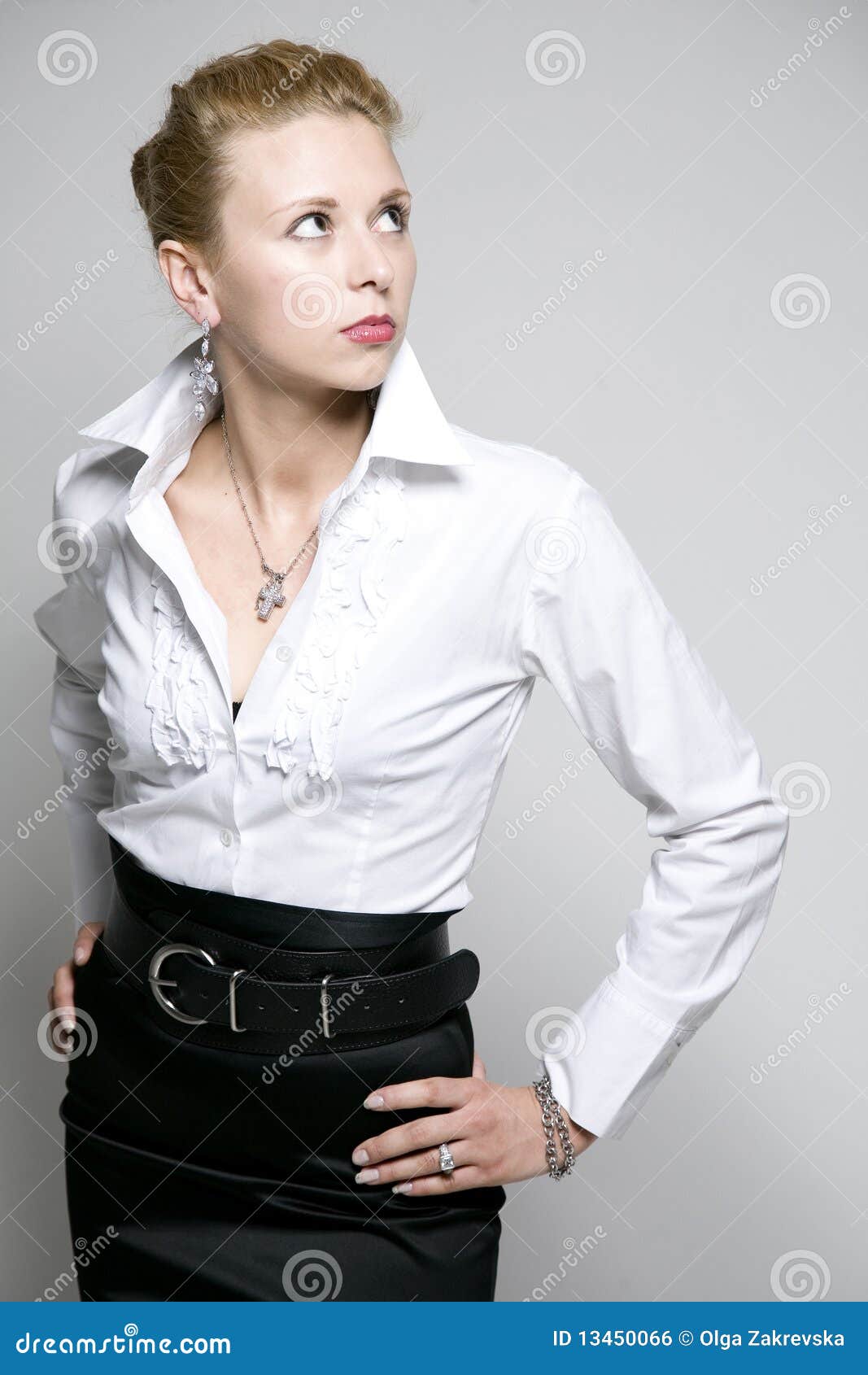 Glam business woman stock photo. Image of financial, achievement - 13450066