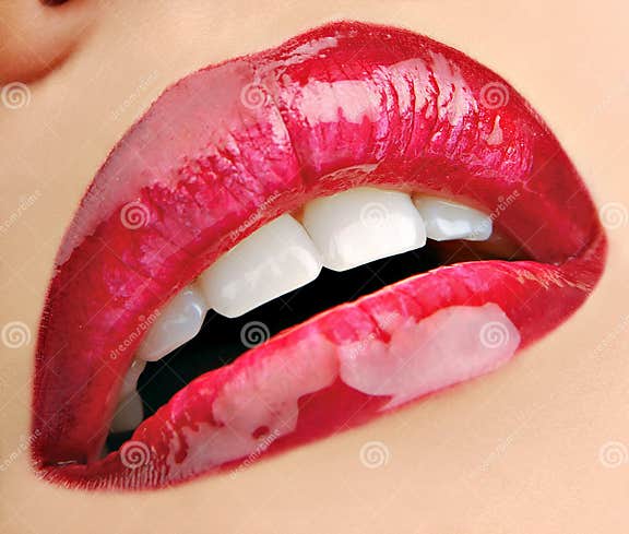 Glam wine-coloured lips. stock image. Image of makeup - 2246199