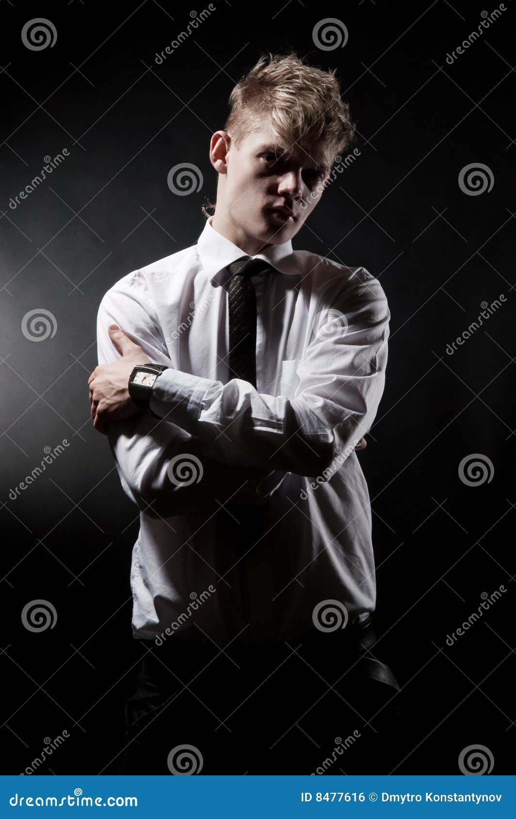 Glamor handsome guy stock photo. Image of pose, fashion - 8477616