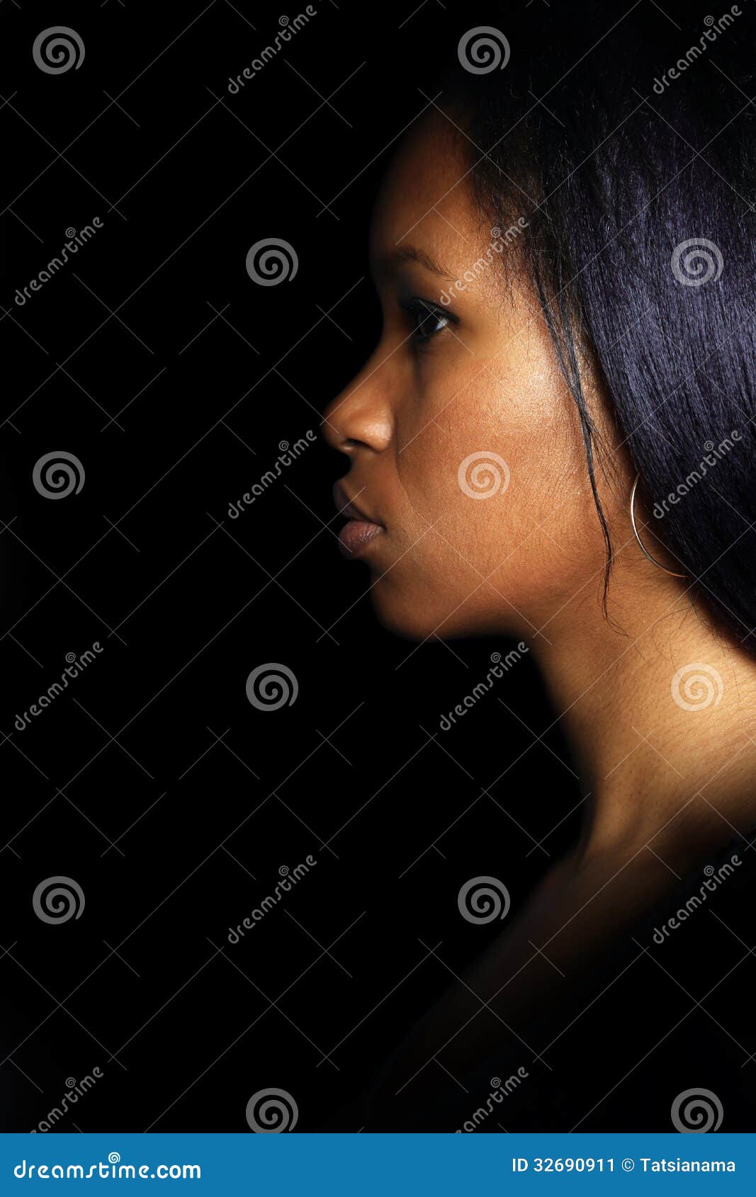 Glamor Woman Dark Face Portrait Beautiful Female Stock Image Image