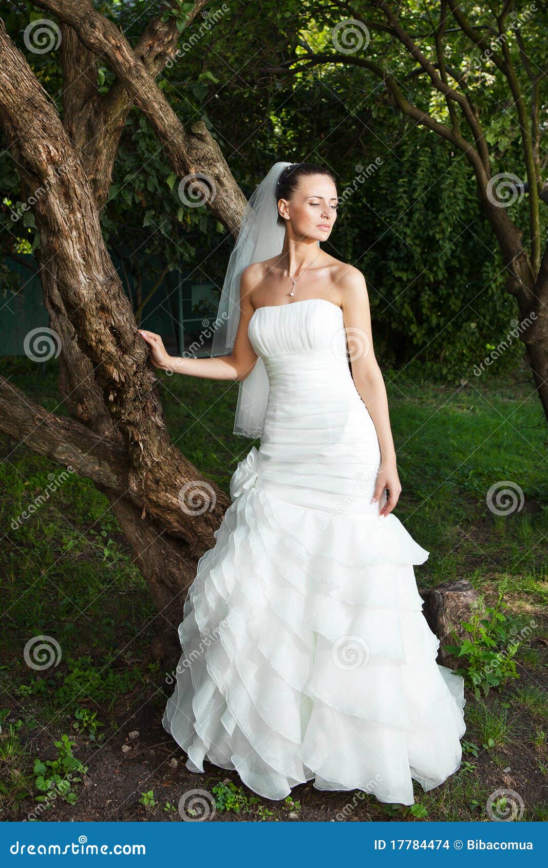 Glamorous bride stock photo. Image of beauty, looking - 17784474