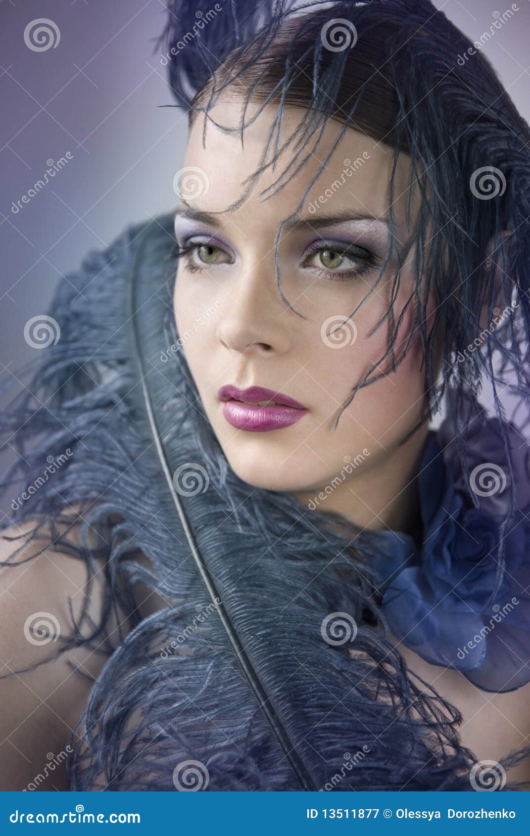 Glamorous evening make-up stock image. Image of girl - 13511877