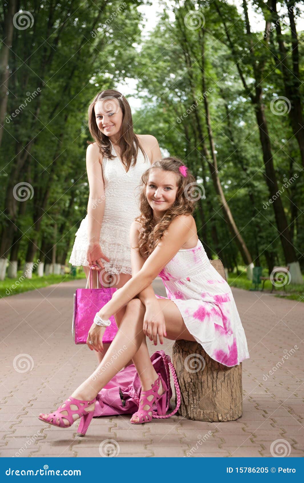 Glamour girls stock image. Image of lifestyle, girl, couple - 15786205