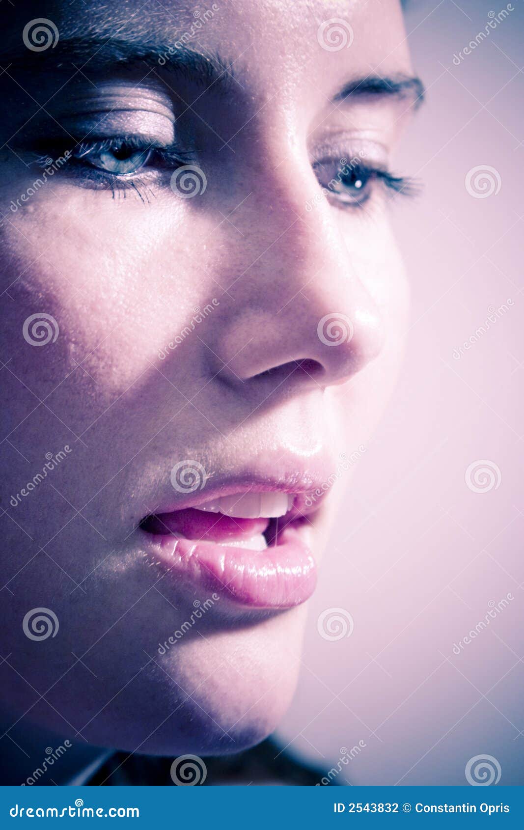 Glamour portrait stock photo. Image of glamour, isolated - 2543832