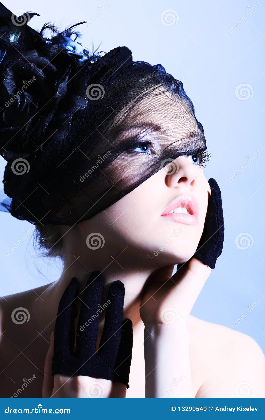 Glamour woman stock photo. Image of elegant, model, girl - 13290540