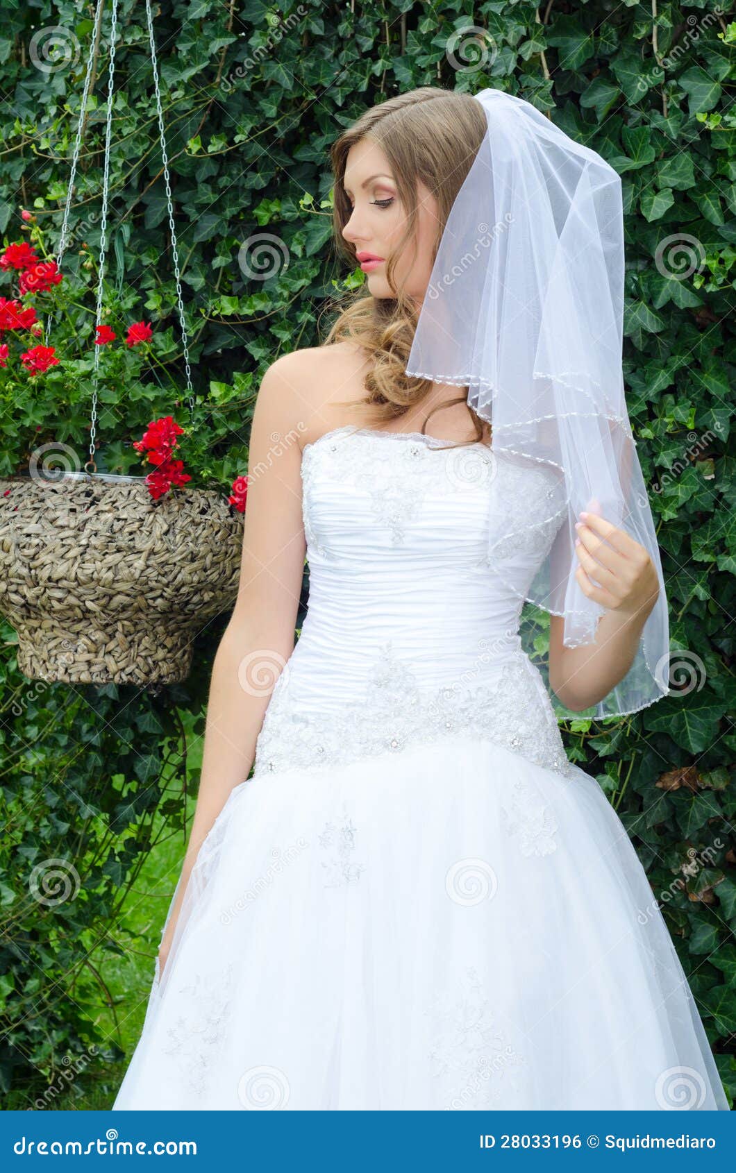 Glamourous bride stock photo. Image of lady, happy, happiness - 28033196