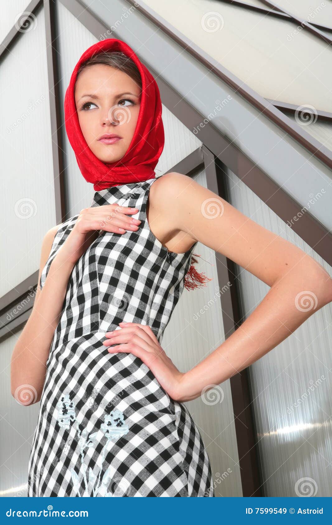 Glamourous girl stock image. Image of beautiful, human - 7599549