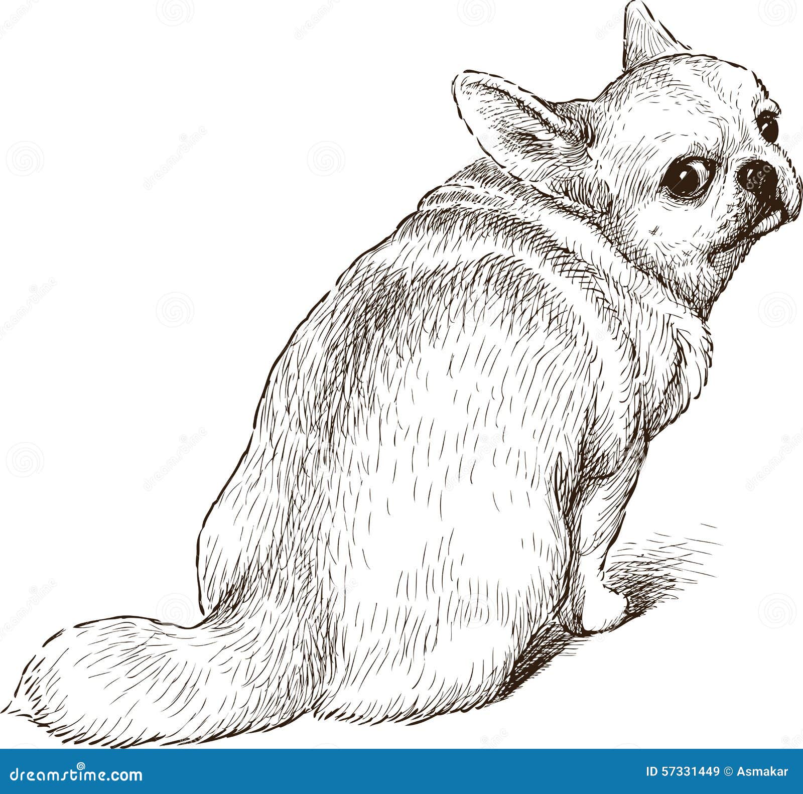 Glancing Dog Cartoon Vector | CartoonDealer.com #57331449