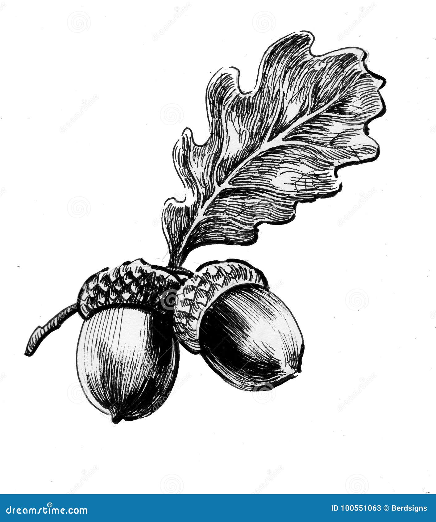 Glands Stock Illustrations, Vecteurs, & Clipart – (5,928 Stock ...