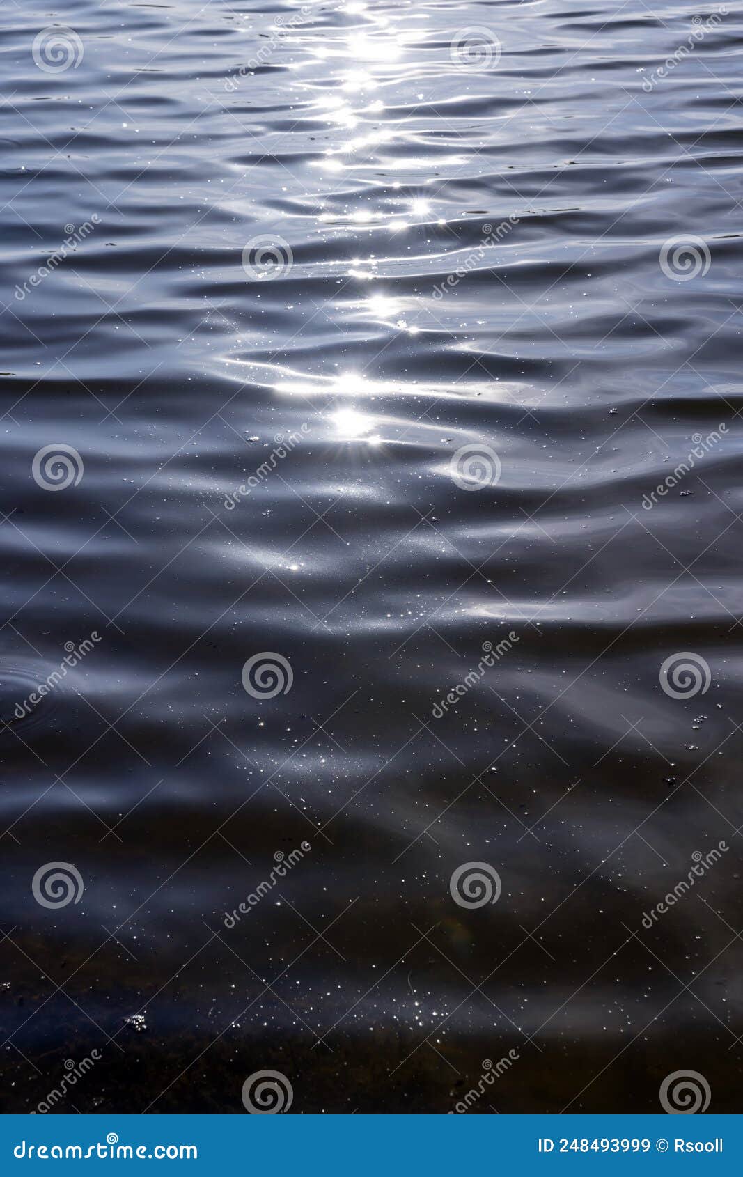 Glare from Sunlight on the Surface of the Lake Water Stock Image ...