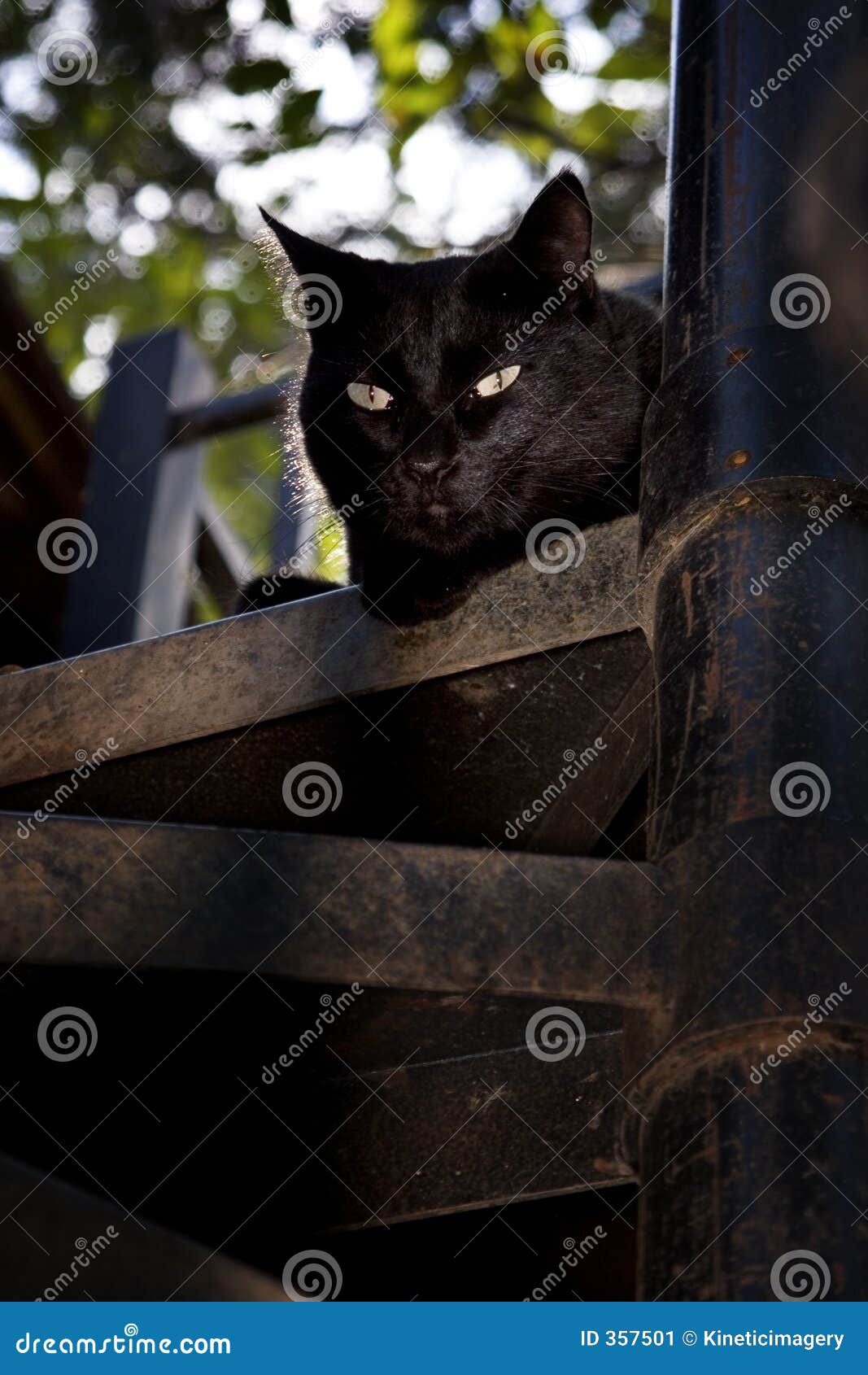 Glaring eyes stock image. Image of glaring, gaze, black - 357501 Glaring eyes stock image. Image of glaring, gaze, black - 357501
