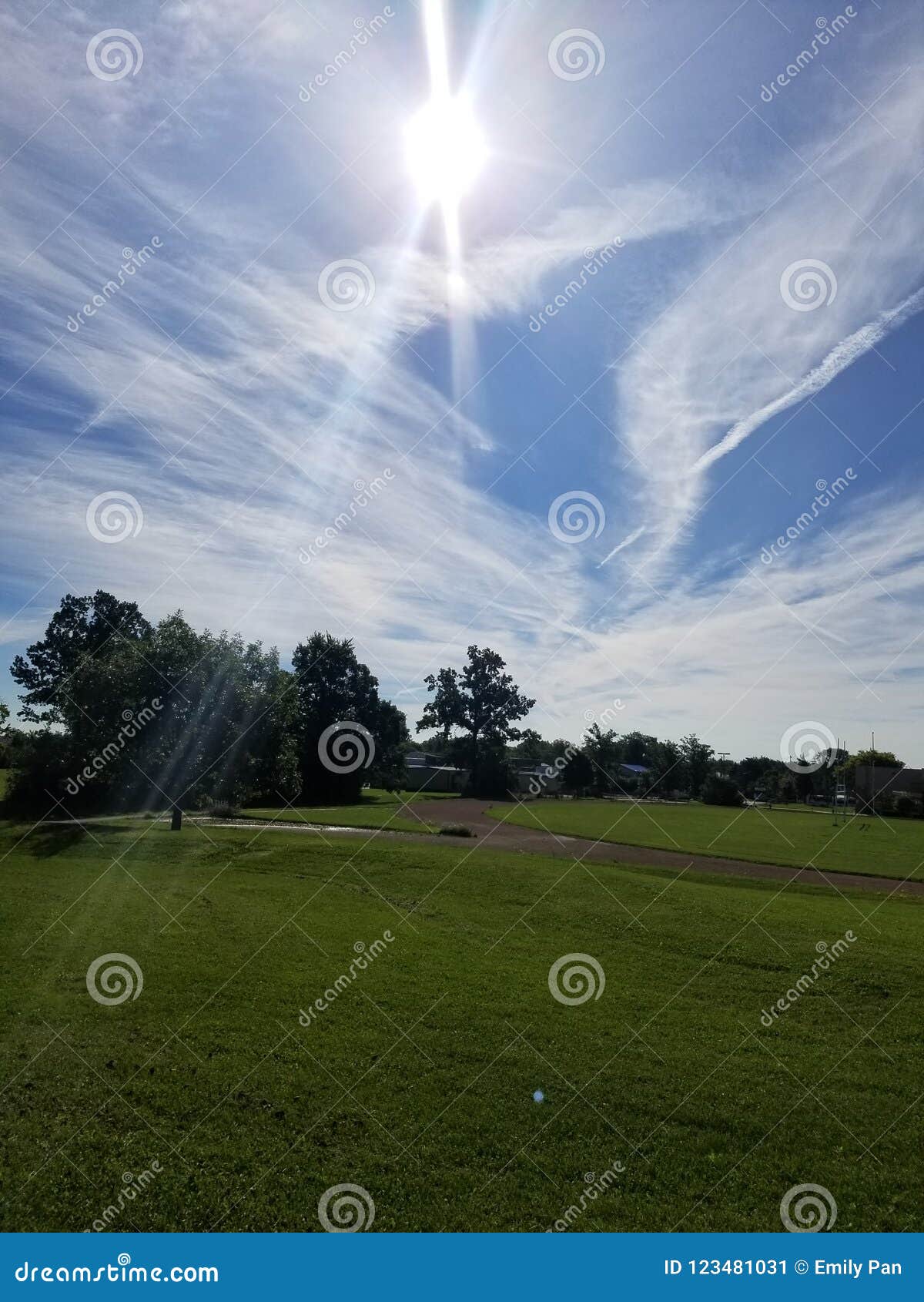 Glaring Sun stock image. Image of field, blue, glaring - 123481031