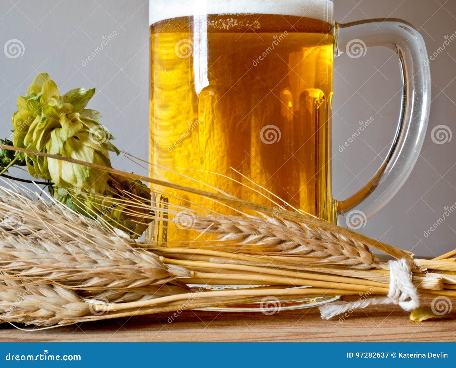Glas Bier Mit Gerste Und Hopfen Stockbild - Bild von brauerei, getreide ...