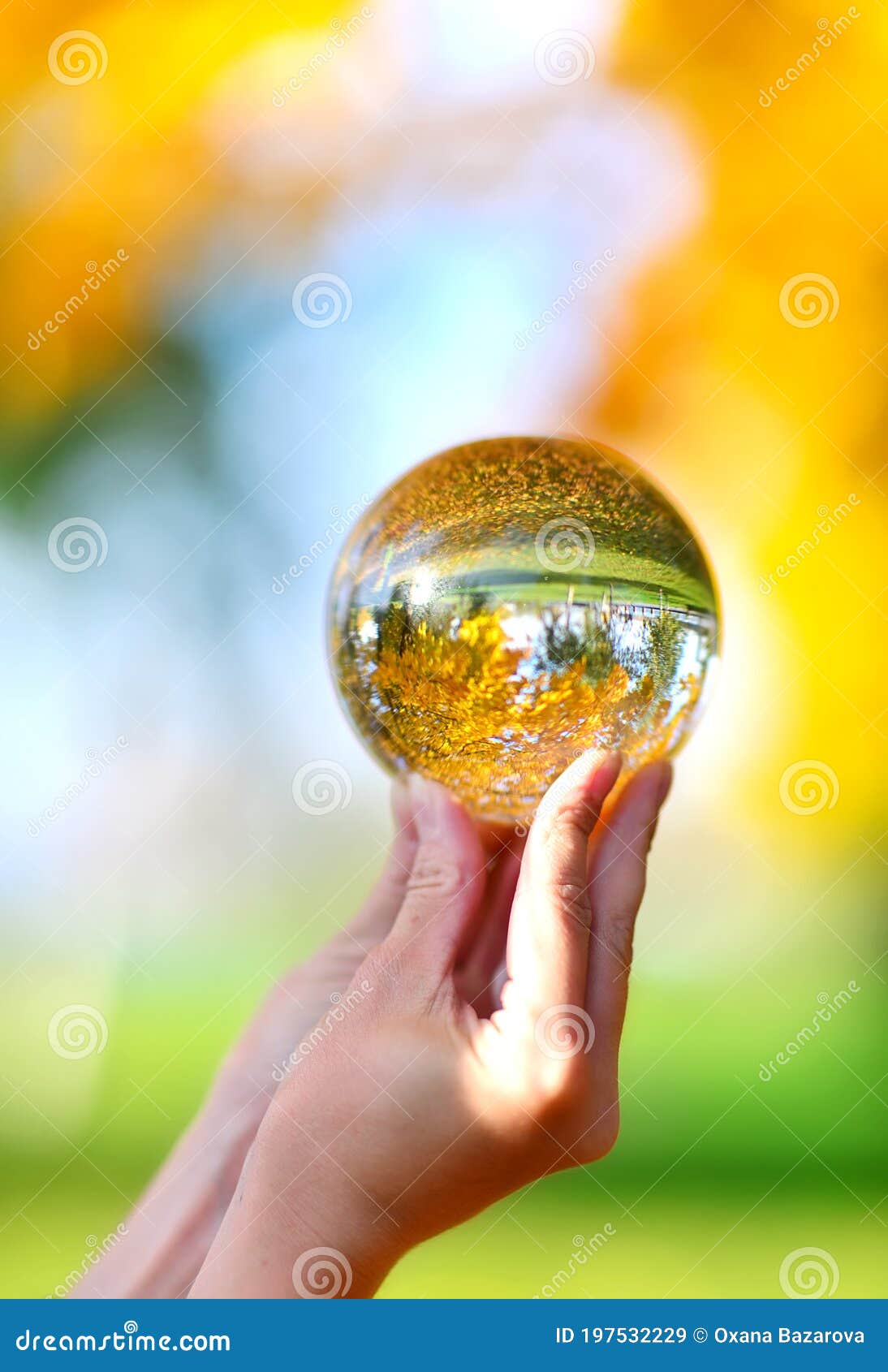 Glass Ball in Hand. Reflection of the Autumn Landscape Stock Image ...