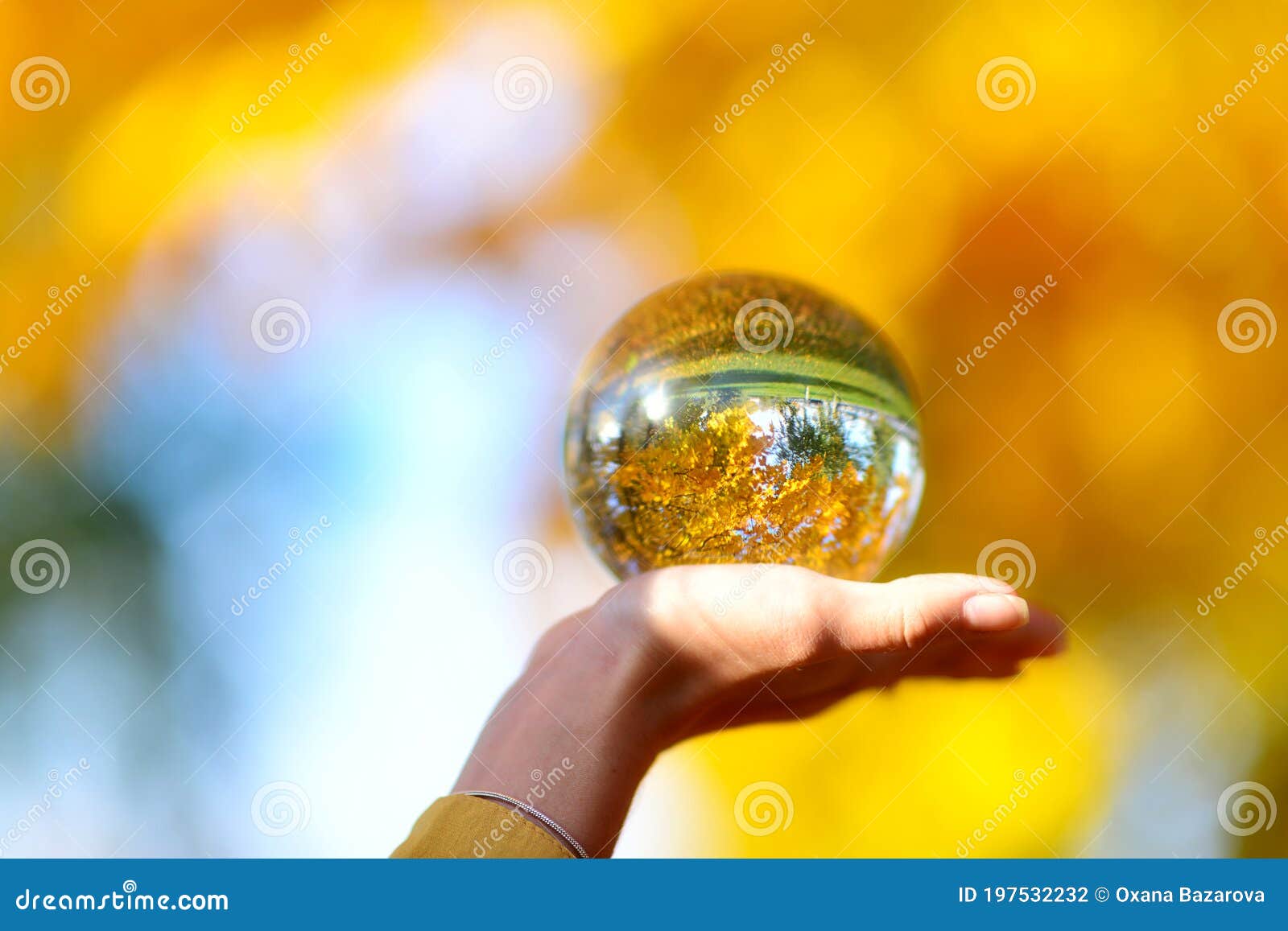 Glass Ball in Hand. Reflection of the Autumn Landscape Stock Photo ...