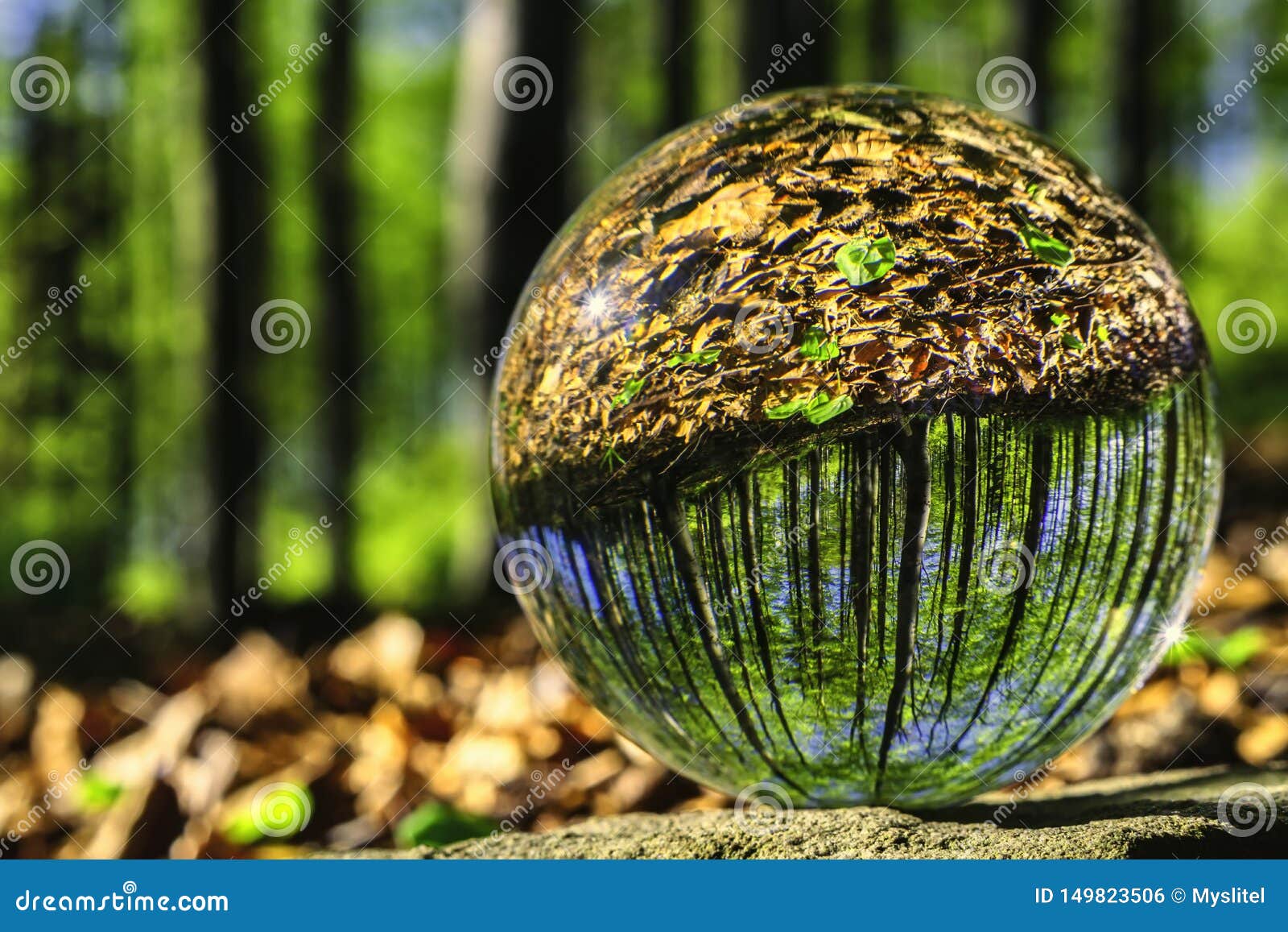 Glass ball in nature stock photo. Image of beauty, horizontal - 149823506