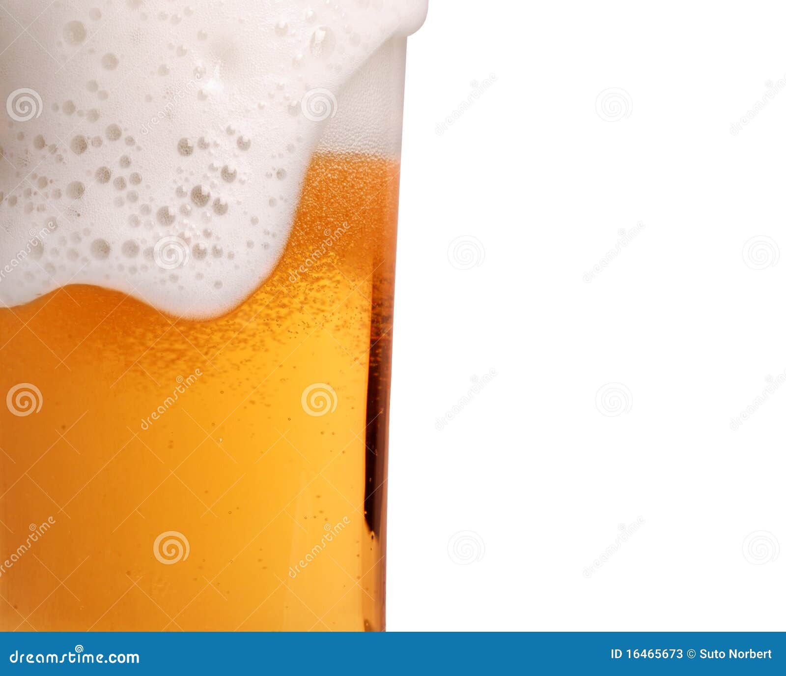 Glass of beer close-up stock image. Image of macro, froth - 16465673