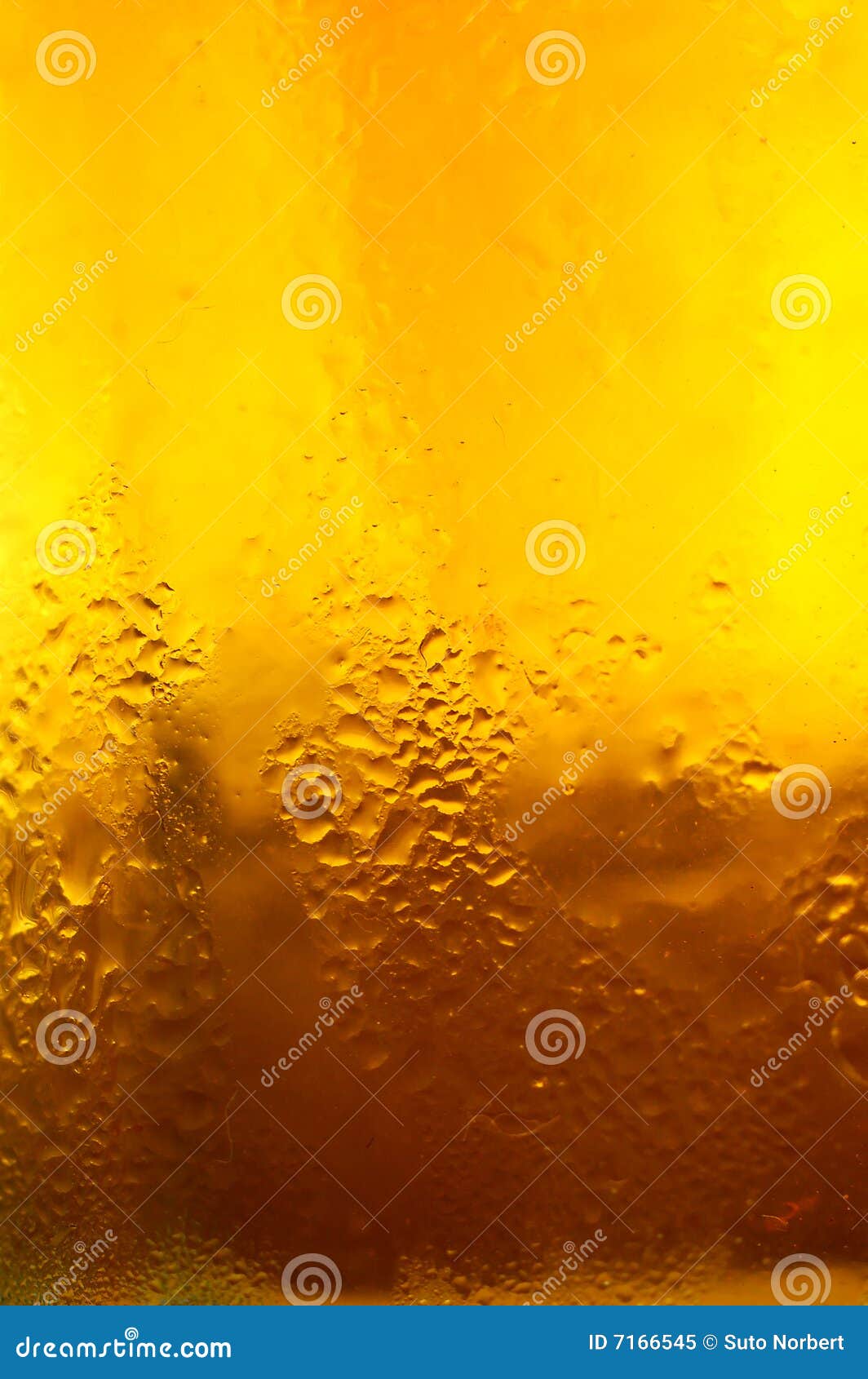 Glass of beer close-up stock image. Image of close, full - 7166545