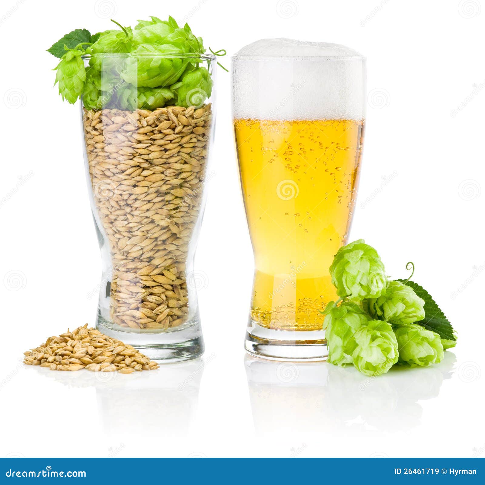 Glass of Beer and Cup Full of Barley and Hops Stock Image - Image of ...