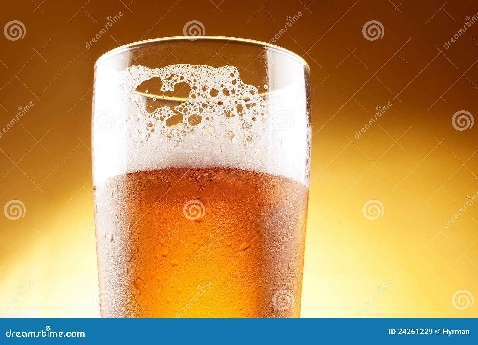 Glass of beer with froth stock image. Image of full, booze - 24261229