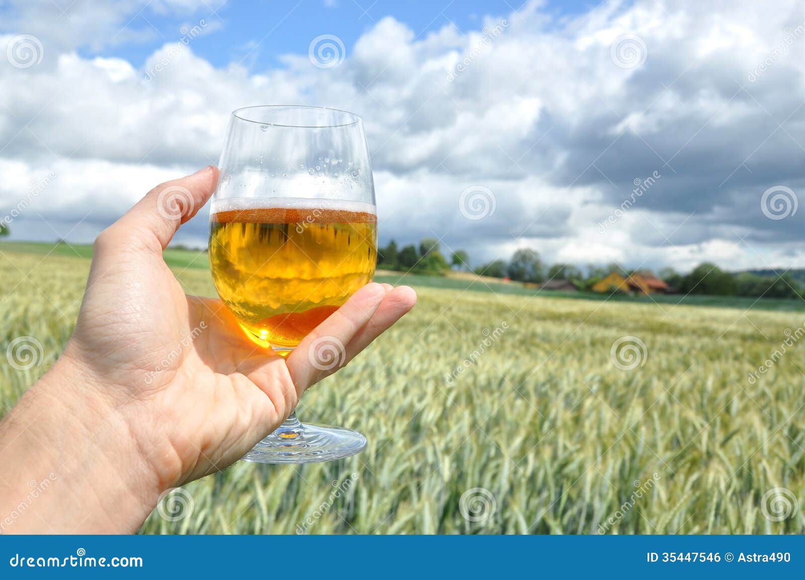 Glass of beer in the hand stock photo. Image of brown - 35447546