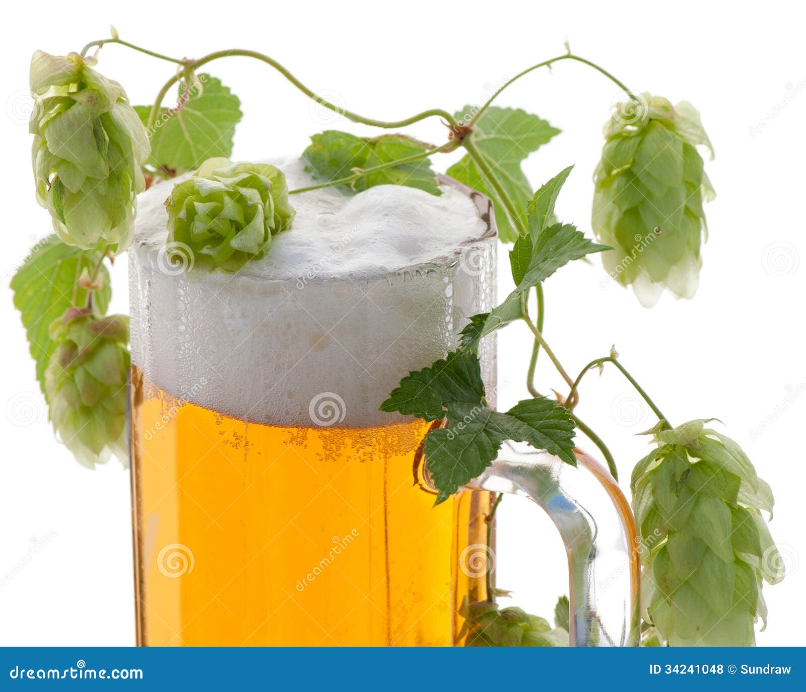 Glass of Beer and Hop Plant Stock Photo - Image of shine, copyspace ...