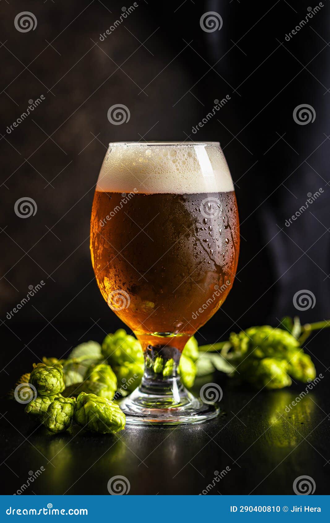 Glass of Beer and Hops Crop on Black Table Stock Photo - Image of gold ...