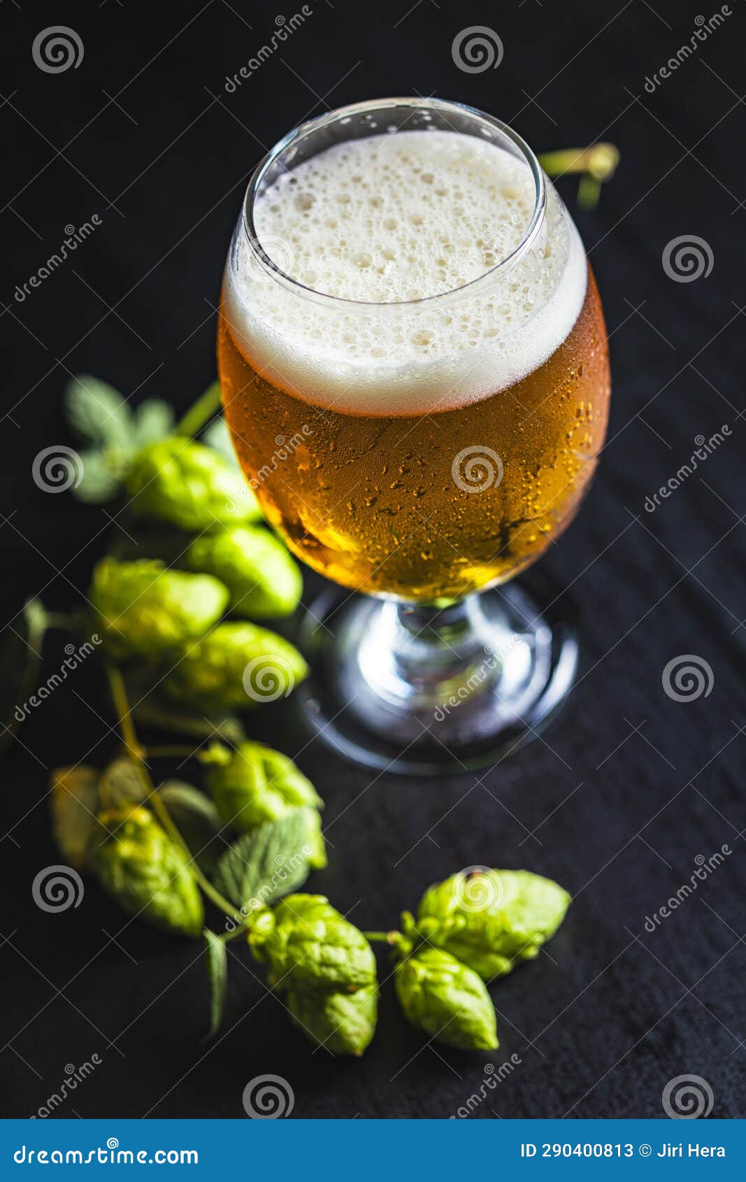 Glass of Beer and Hops Crop on Black Table Stock Image - Image of leaf ...