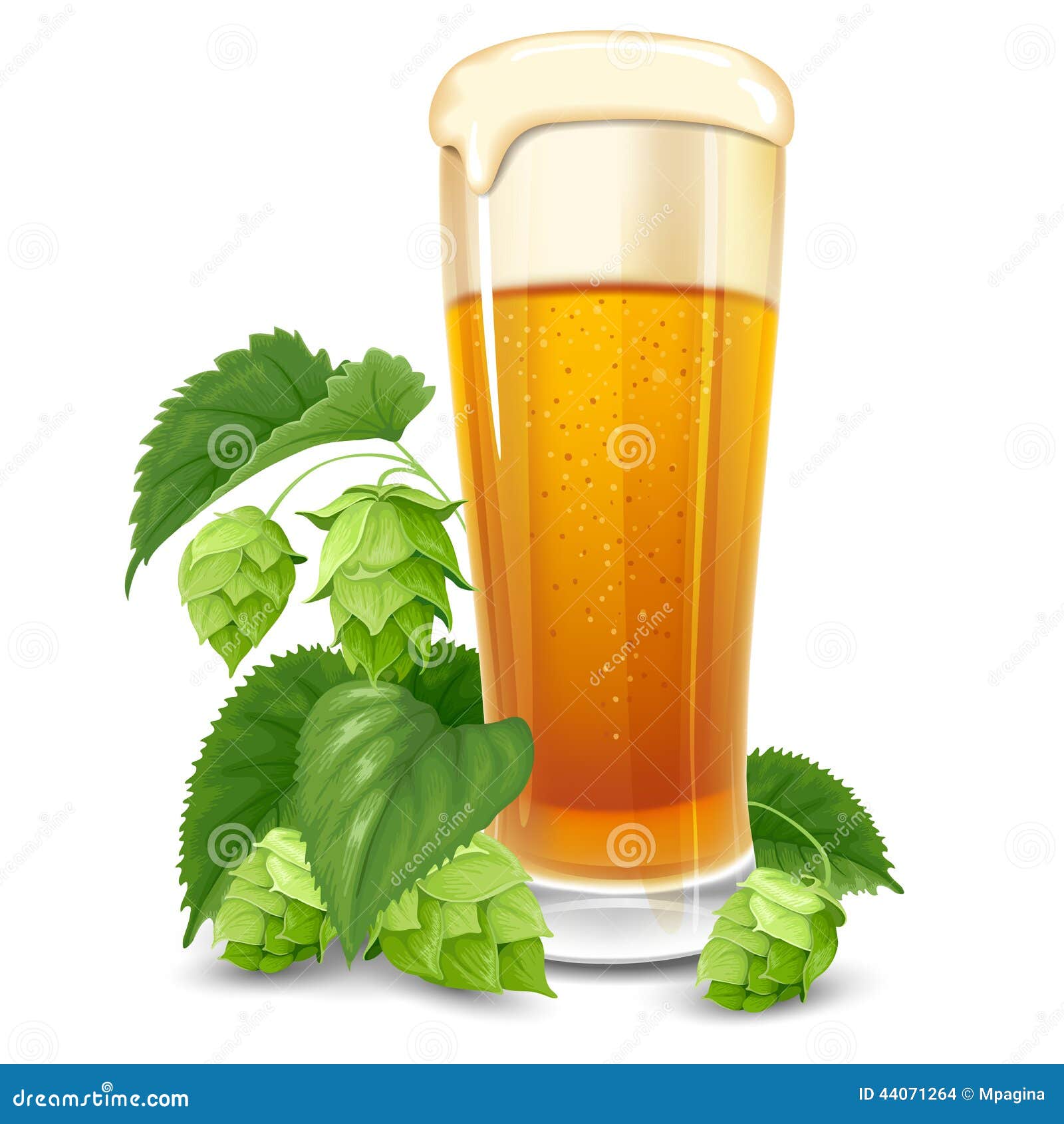 Glass of beer and hops stock vector. Illustration of beverage - 44071264