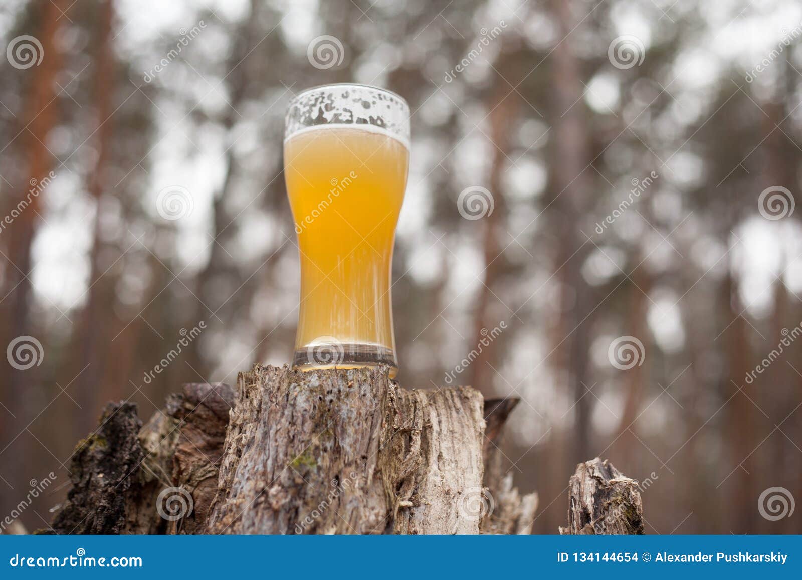 A Glass of Beer on a Tree Stump Stock Photo - Image of glass, beer ...