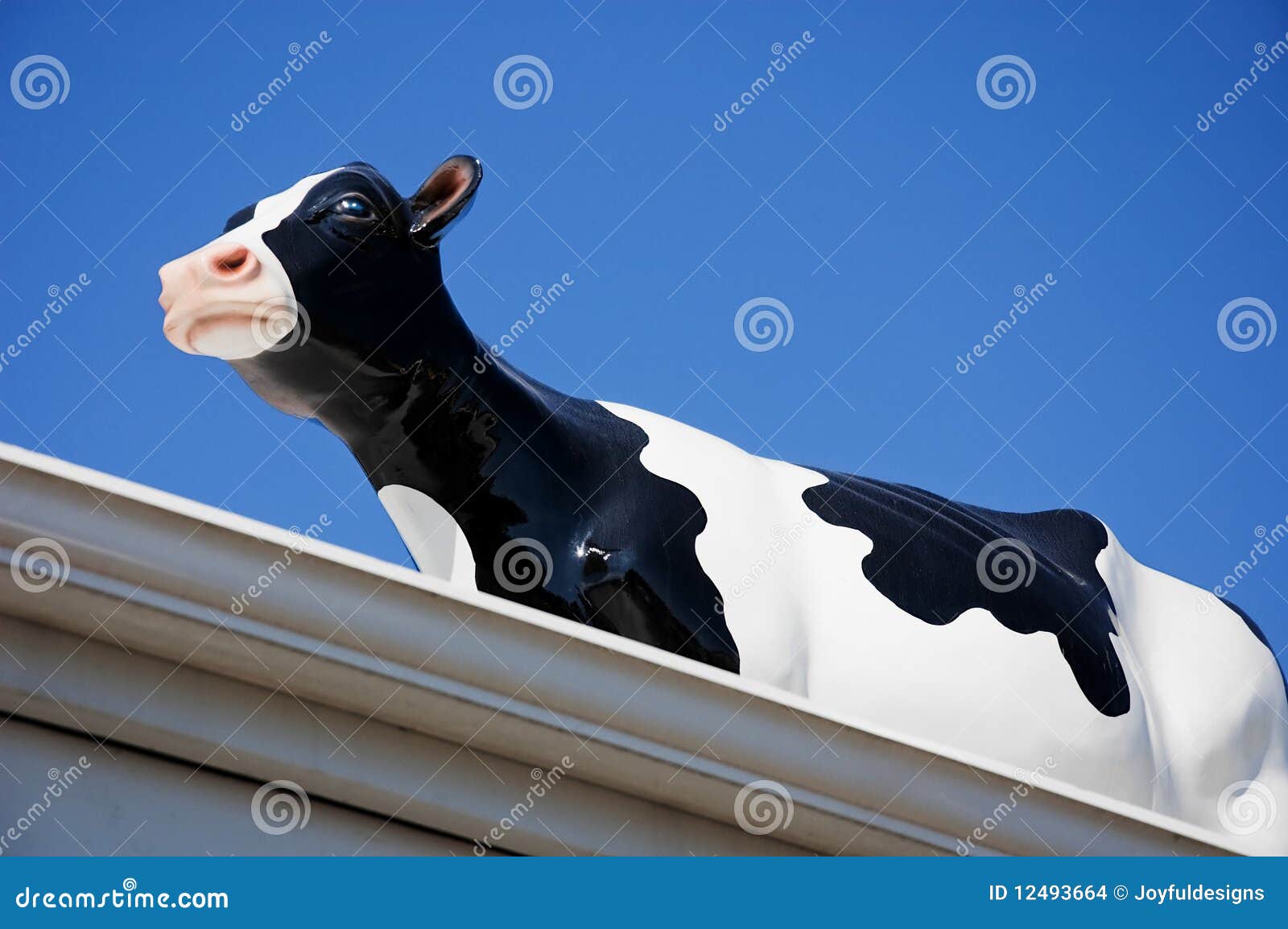 Glass Black and White Cow on Roof Stock Photo - Image of blue ...