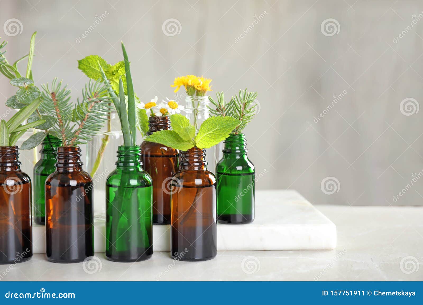 Glass Bottles of Different Essential Oils with Plants on Table Stock ...