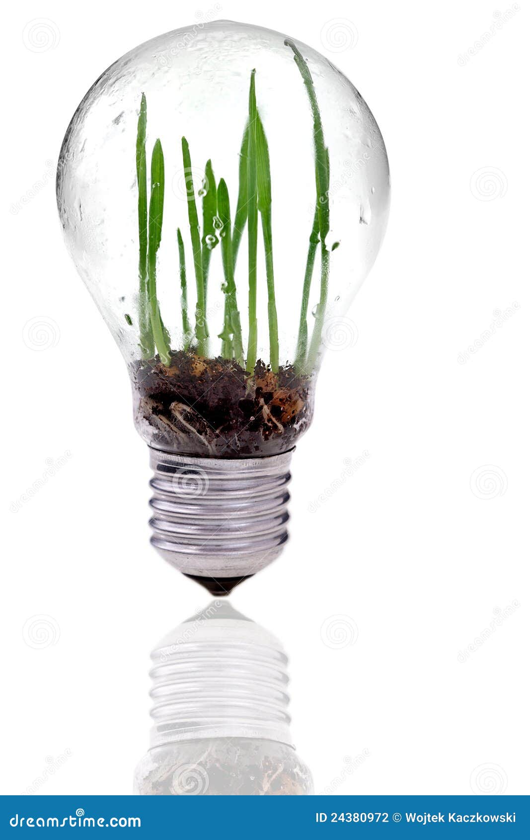 Glass bulb stock photo. Image of future, glass, concept - 24380972