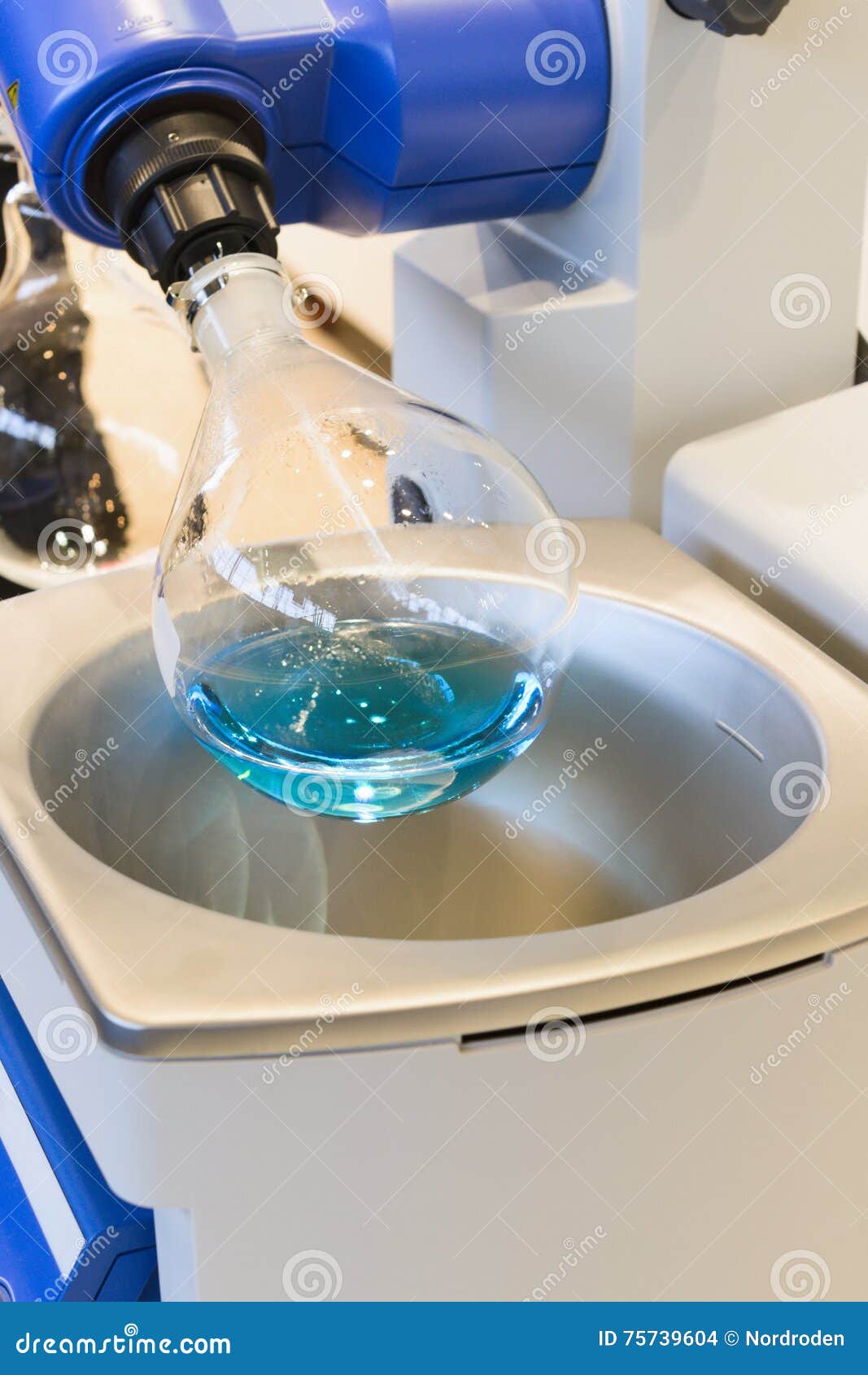 Glass Bulb Rotates in a Laboratory Evaporator. Stock Photo - Image of ...