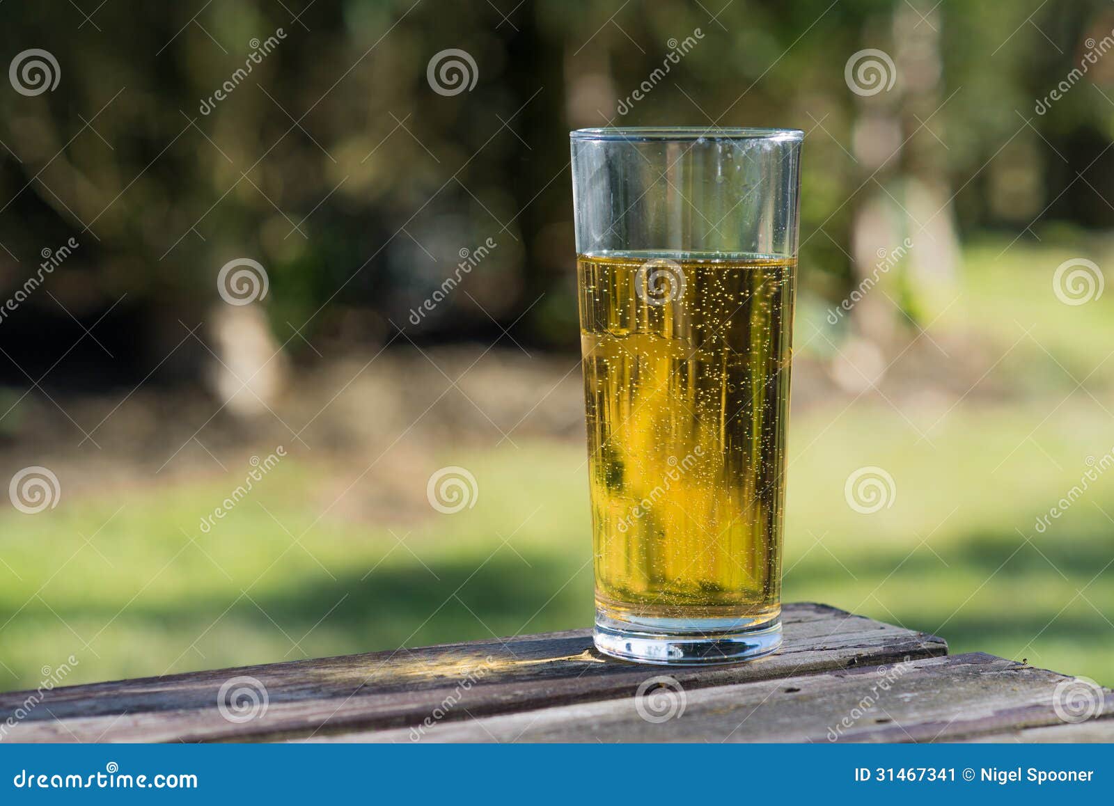 Glass of cider on table stock image. Image of bubbles - 31467341