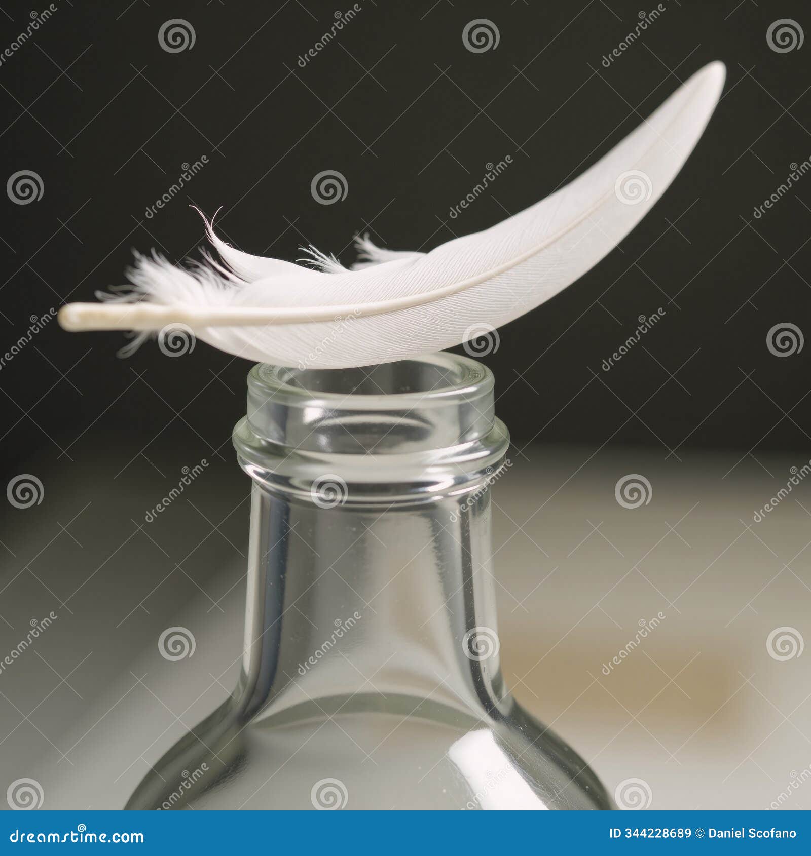 Glass Container Holding a Solitary Feather Stock Illustration ...