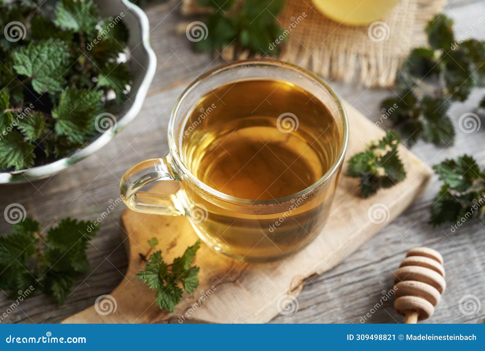A Glass Cup of Herbal Tea with Fresh Stinging Nettle Stock Image ...