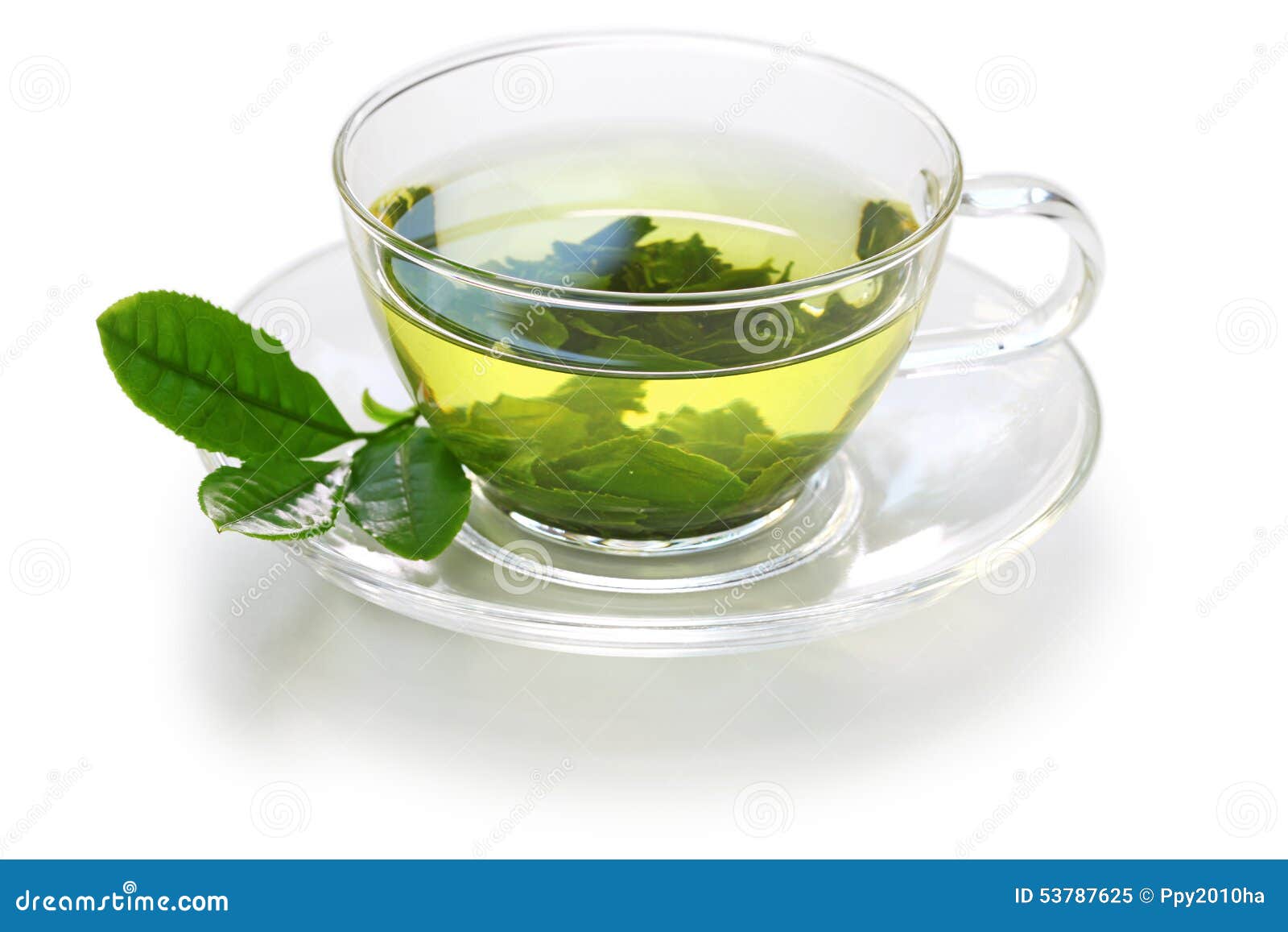 Japanese Green Eyes Fish Royalty-Free Stock Photography | CartoonDealer ...